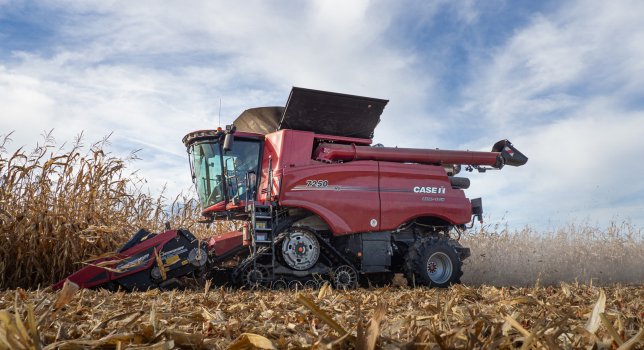 Kombajn Case IH Axial-Flow 7250 během sklizně kukuřice na Pardubicku ...
