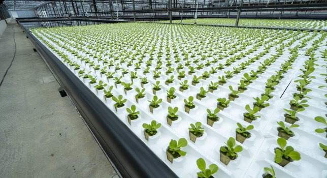 Future Farming vyvinul Aztéckou zahradu s umělým deštěm | Agroportal24h.cz